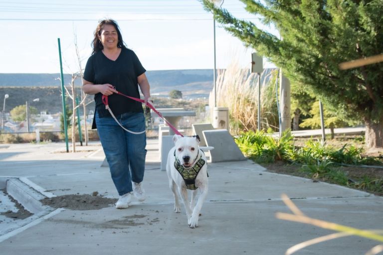 Nueva jornada de esterilización gratuita de perros y gatos este sábado ...