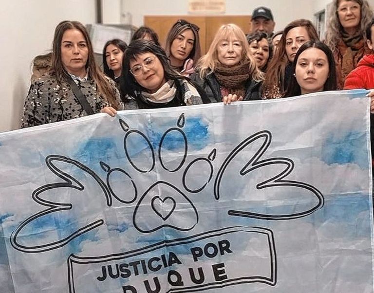 En mayo se conocerá si se eleva a juicio la causa de Duque, el perro ...
