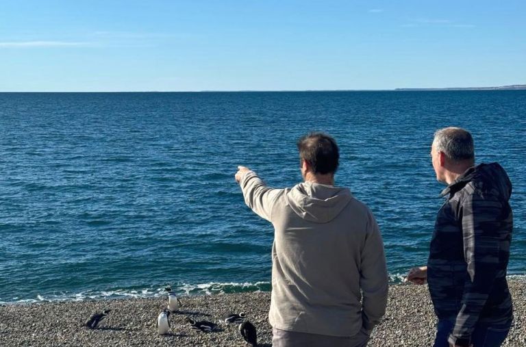 Funcionarios de Turismo y Ambiente recorrieron la colonia de pingüinos El Pedral | Diario Crónica